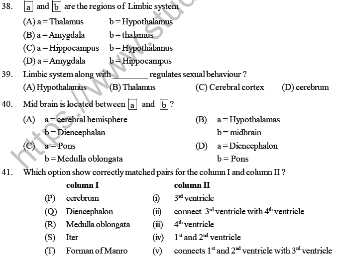 NEET Biology Neural Control and Coordination MCQs Set B with Answers